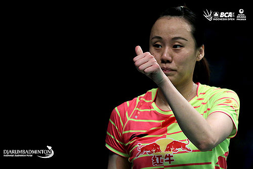 Why Does Zhao Yunlei Prefer Mixed Doubles to Women's Doubles at 2016 ...